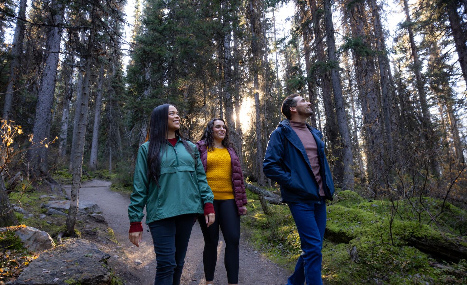 Hiking in Banff National Park: Summer, Winter and Year-Round Guide ...