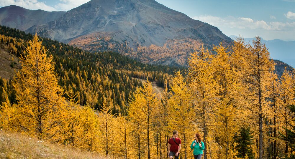 Fall in Banff and Lake Louise | Banff & Lake Louise Tourism