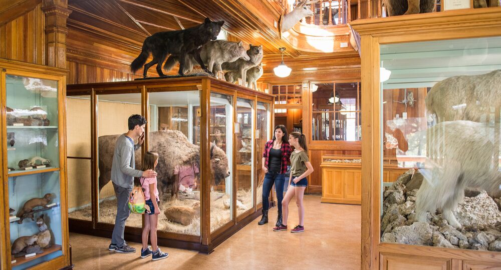 Visit the Banff Park Museum National Historic Site | Banff & Lake ...