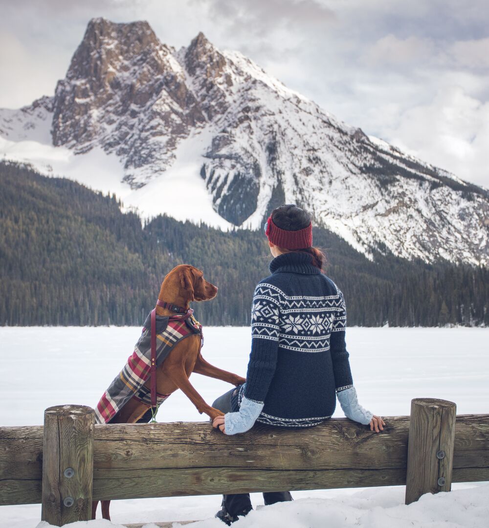 Things to Do in Banff and Lake Louise in February | Banff & Lake Louise ...