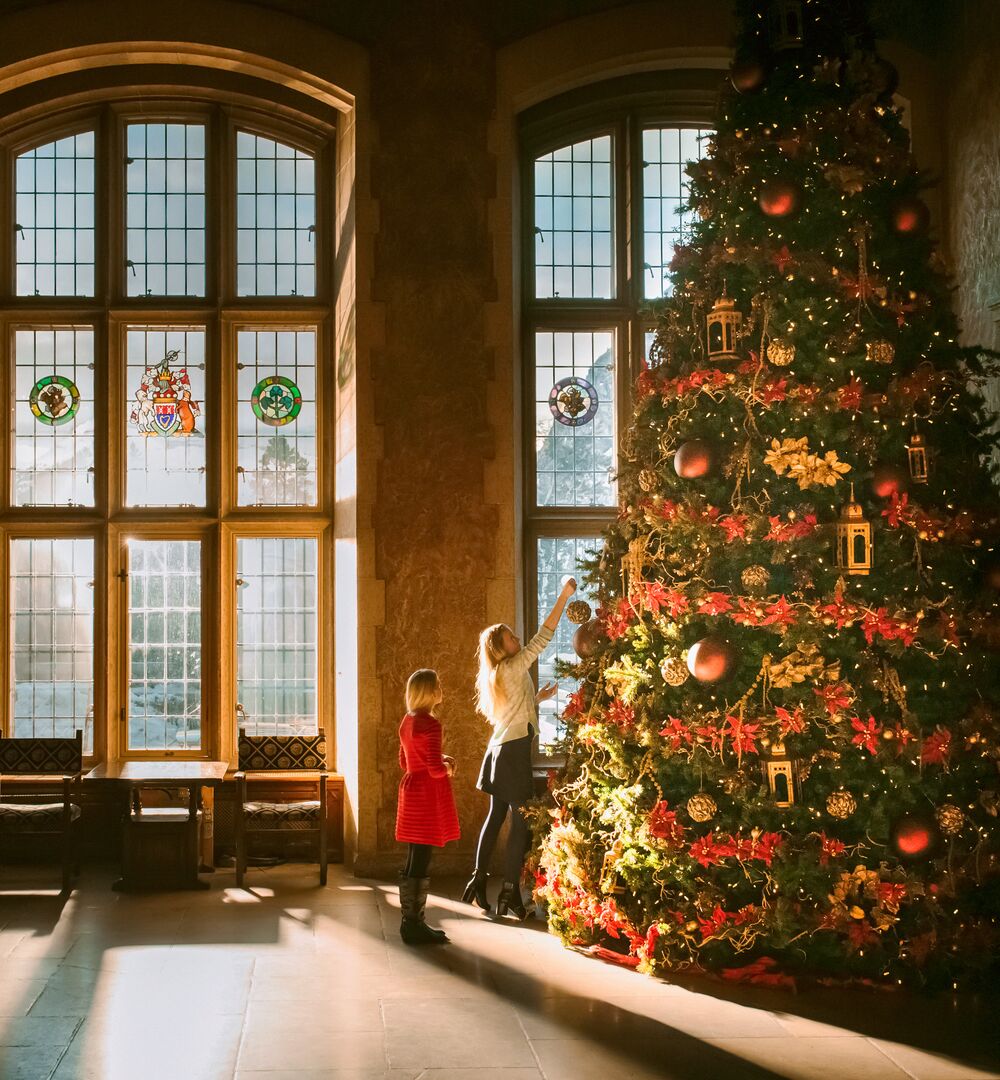 Things to Do in Banff and Lake Louise in December | Banff & Lake Louise ...