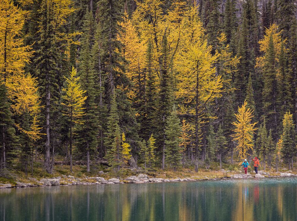 Fall in Banff and Lake Louise | Banff & Lake Louise Tourism