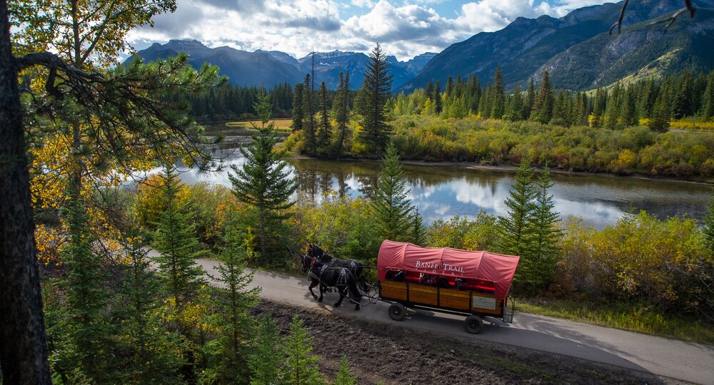 Cowboy Cookout + Wagon Ride | Banff & Lake Louise Tourism