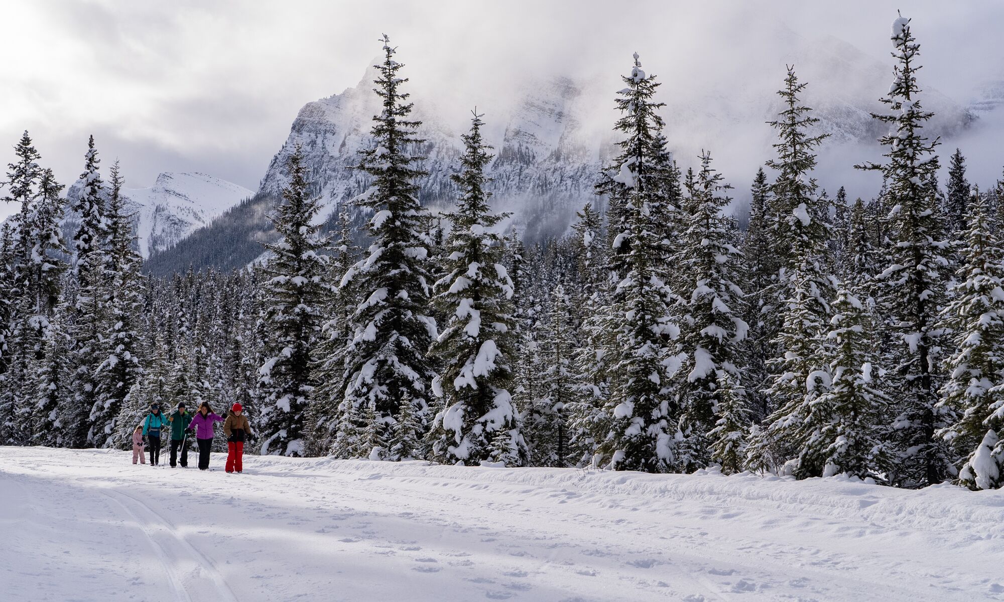 Guided Winter Tours & Activities in Banff National Park | Banff & Lake ...