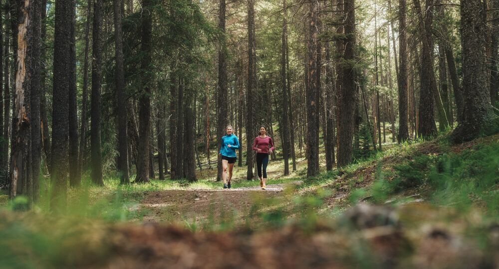 Boom Lake Trail | Banff & Lake Louise Tourism