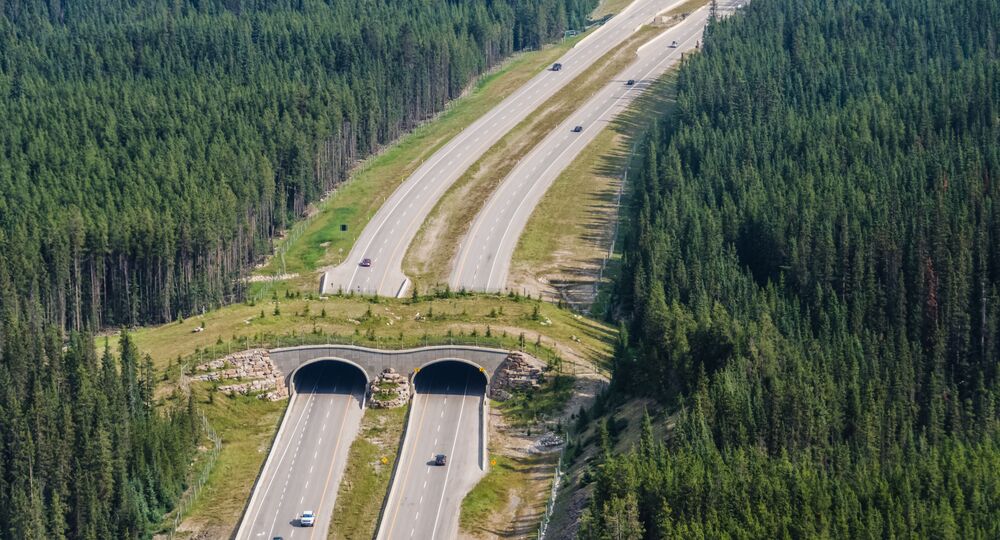 How to Get to Banff and Lake Louise | Banff & Lake Louise Tourism