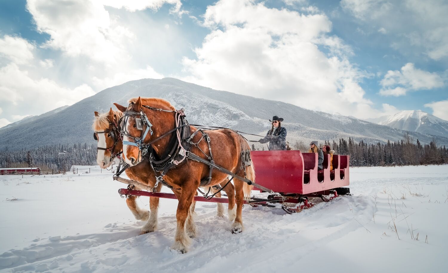 How to Style your Skijor Outfit for Skijoring in Banff | Banff & Lake ...