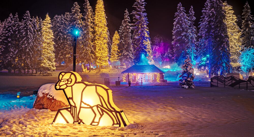 Things to Do in Banff and Lake Louise in December | Banff & Lake Louise ...