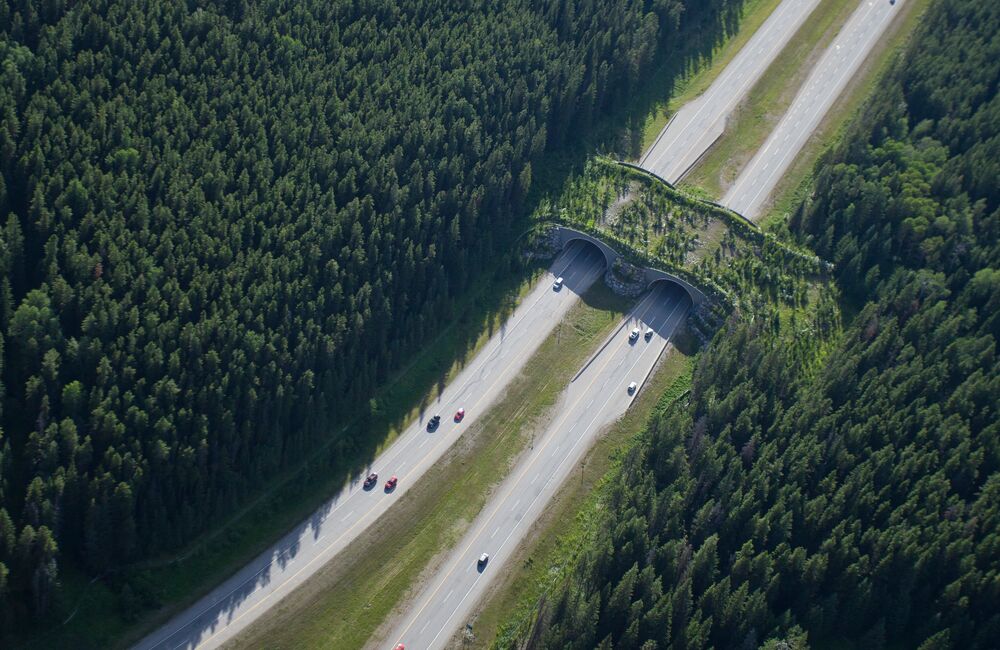 Transportation | Banff & Lake Louise Tourism