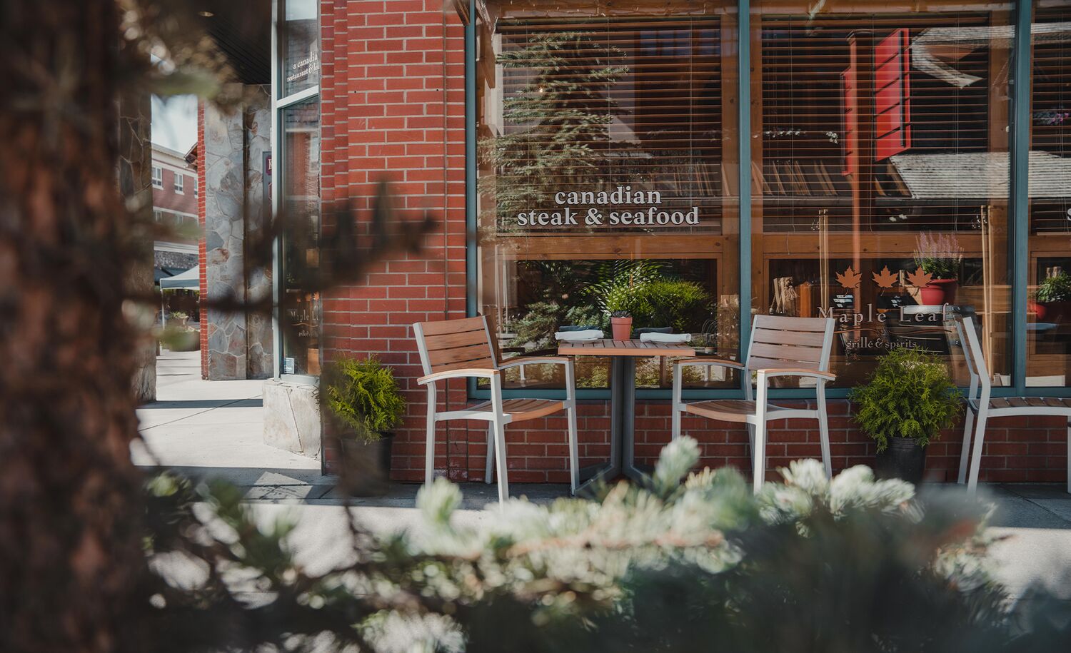 Award-Winning Restaurants in Banff and Lake Louise: Top Places to Eat ...